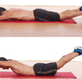 Men's Workout and Trainer Tips – Build Muscle and Enhance Fitness