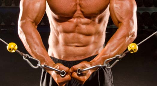 Progressive Overload Training to Stimulate Muscle Growth - Men's Fit Club