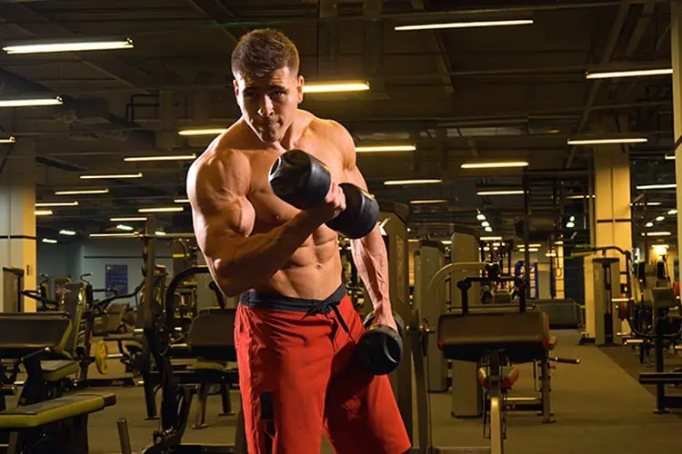 Muscle Building Workout Plans Crafting the Perfect Regimen - Men's Fit Club