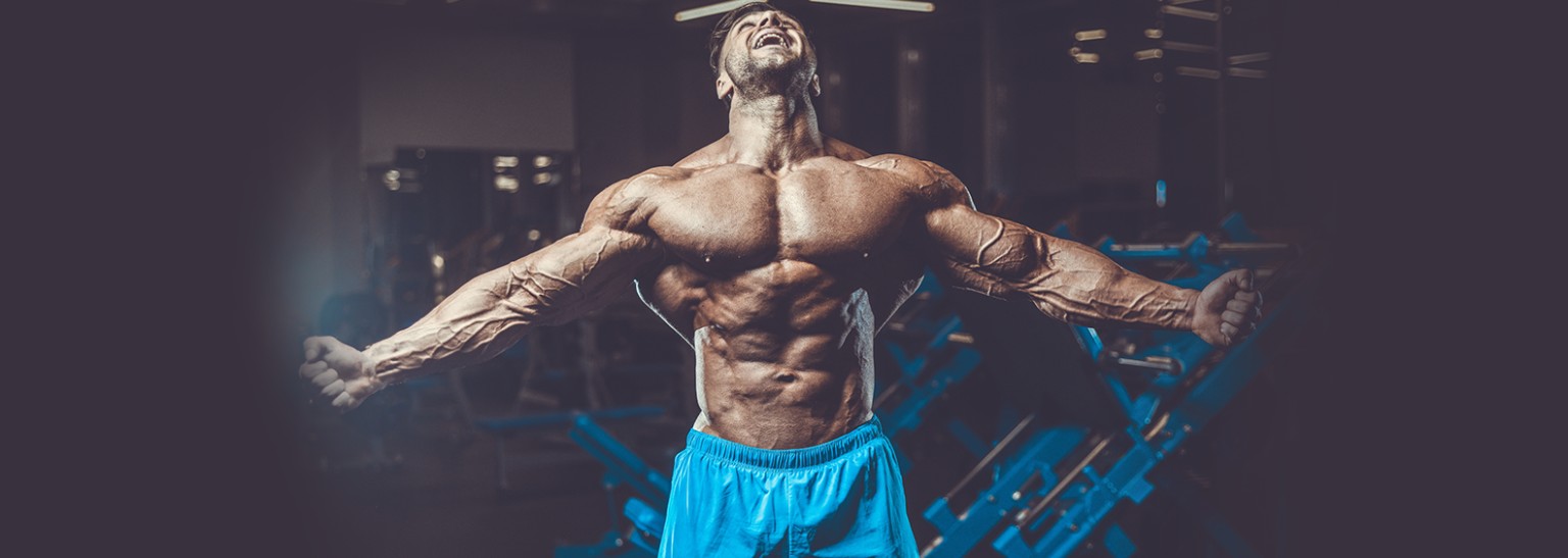 Best Muscle Groups to Workout Together - Men's Fit Club