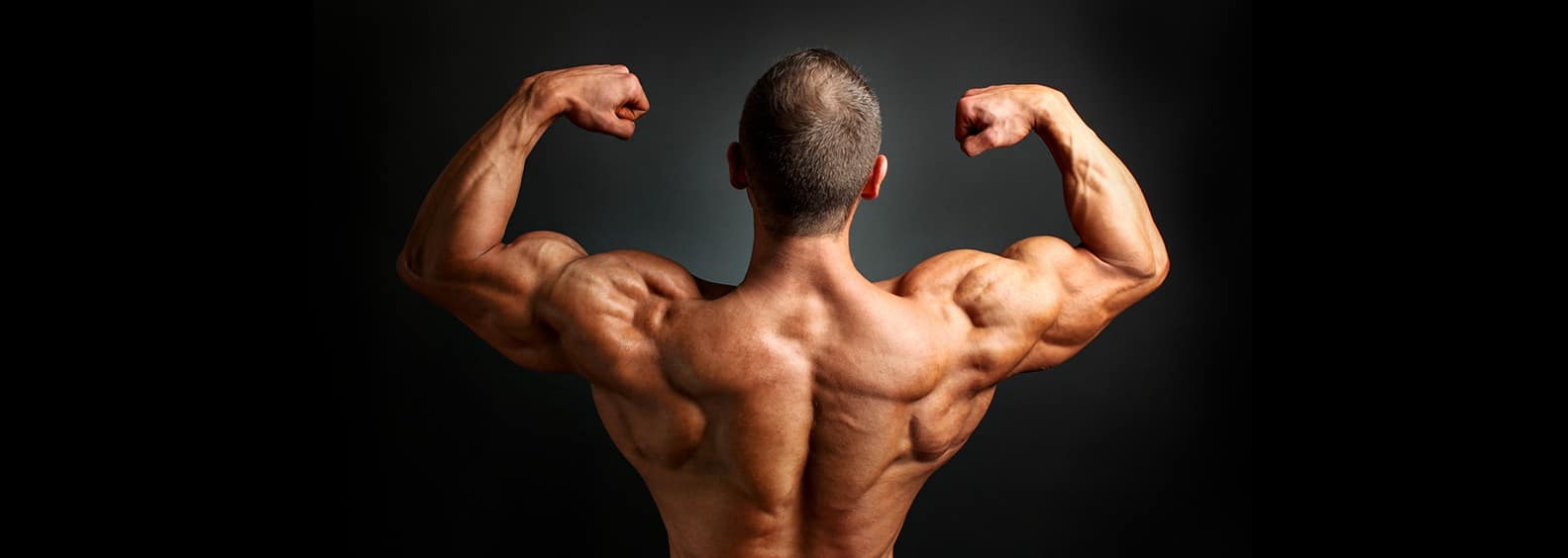 Muscle building Workout Plan To Try - Men's Fit Club