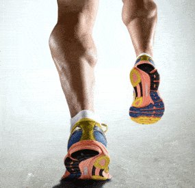 Men's Fitness - Workout Routines and Exercises - Men’s Fit Club