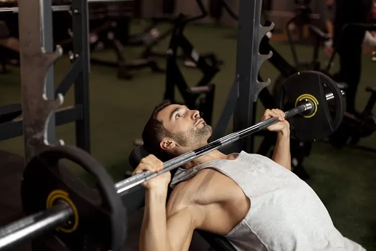 Shoulder And Tricep Workout An In-depth Guide - Men's Fit Club